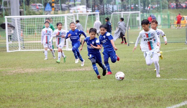 경주시, 화랑대기 U10·U9 축구 페스티벌 개최
